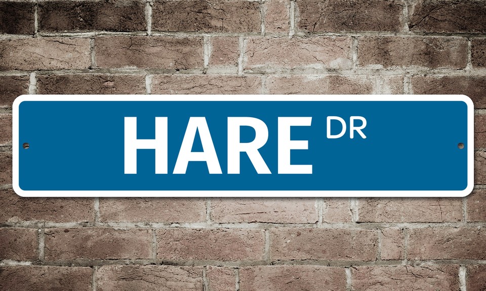 6205 SS Hare 4" x 18" Novelty Street Sign Aluminum | eBay