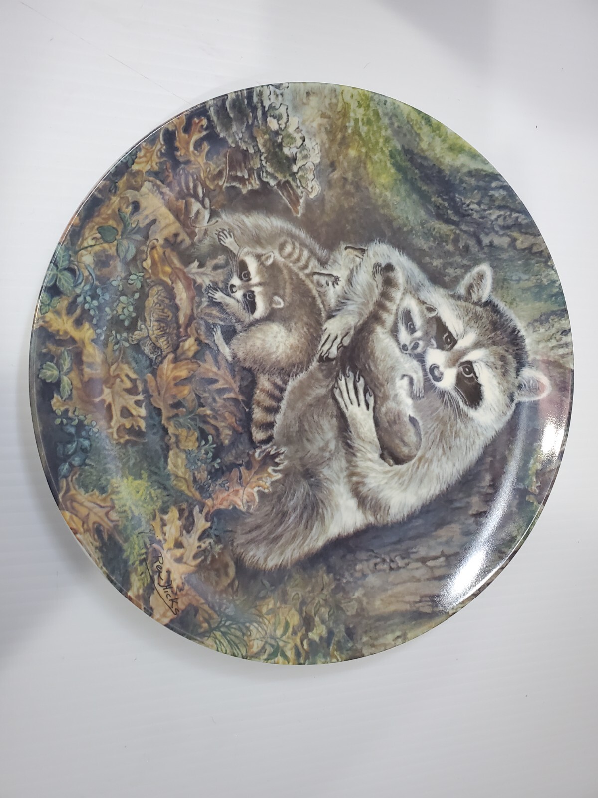 Knowles Signs of Love A Protective Embrace Raccoon Yin-Rei Hicks Plate ...