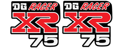 1977 DG Honda XR 75 Side Panel Decal Set AHRMA | eBay