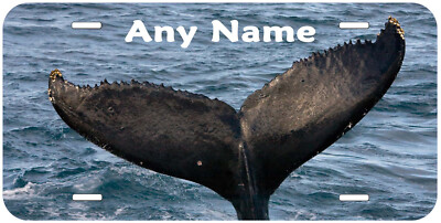 Whale Tail Any Name Personalized Novelty Car License Plate | eBay
