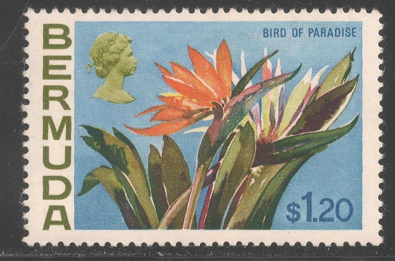Bermuda #270 (A41) VF MNH 1970 - $1.20 Bird Of Paradise Flower ...
