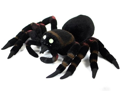 Goliath Birdeater Spider 8 Inch Stuffed Insect Animal Plush Toys Doll ...