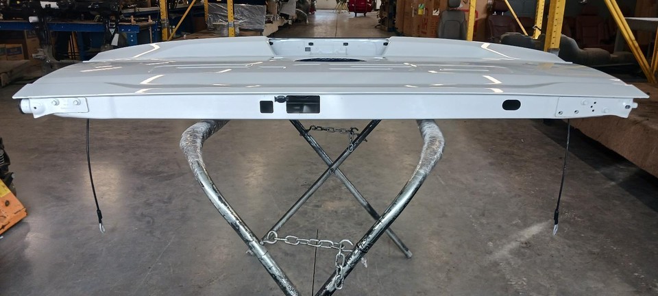 '21-'24 FORD F150 tailgate Gate white bare OEM | eBay