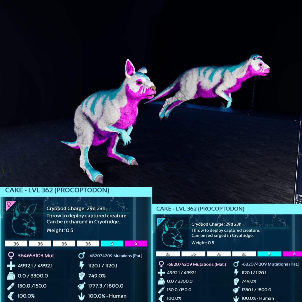 Ark Survival Ascended Pve Procoptodon Max Level 362 | eBay