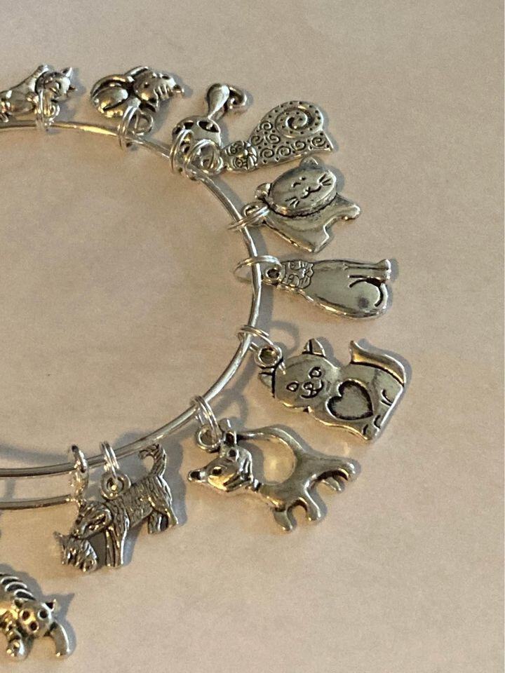 CRAZY CAT LADY Chram Bracelet 18 cat charms Love Cats Fun Gift ...