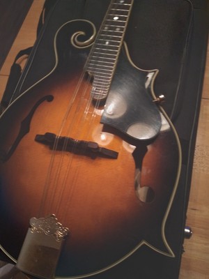 Johnson mandolin f style | eBay