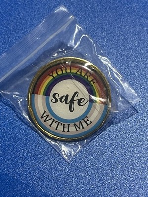 You Are Safe With Me Metal Pin - Ally Gay Pride LBGTQ+ | eBay