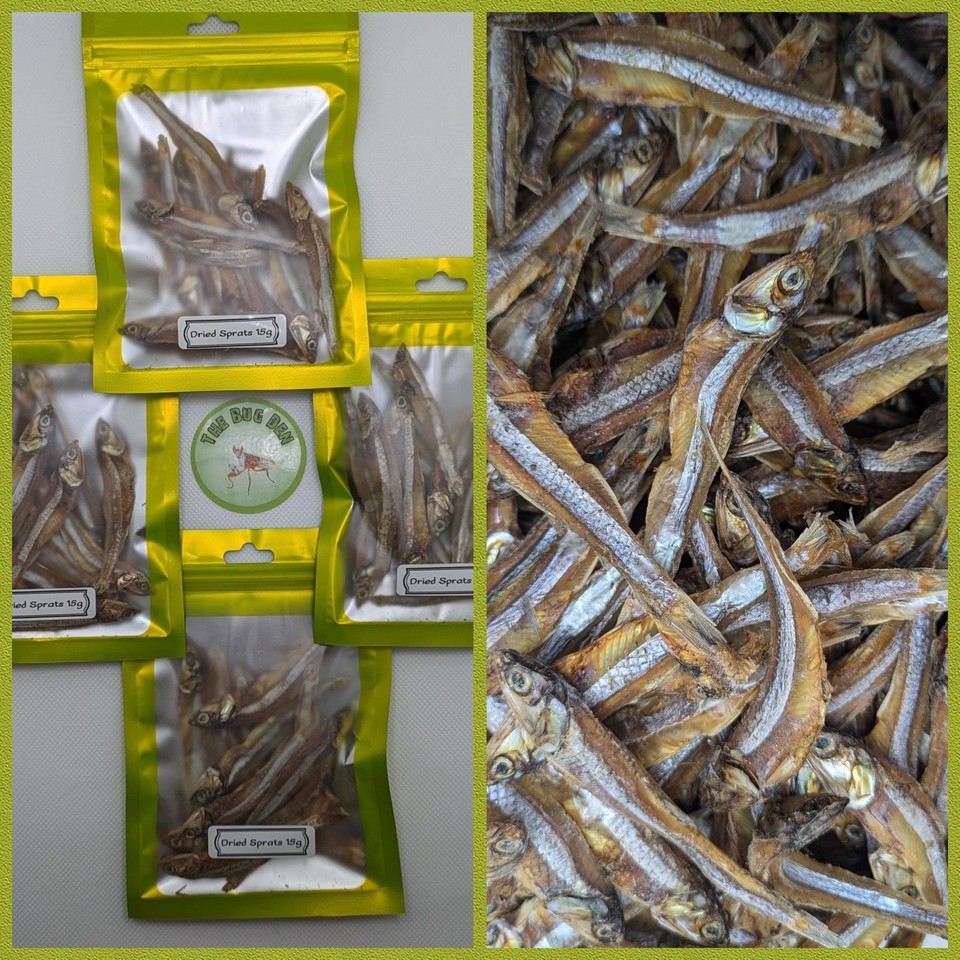 Isopod food. Sprats, bee pollen, mealworms, peas, cuttle fish, shrimp ...