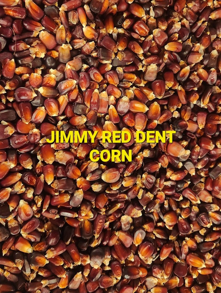 Jimmy Red Corn - Heirloom Dent Corn For Seed or Milling - 1 Pound | eBay