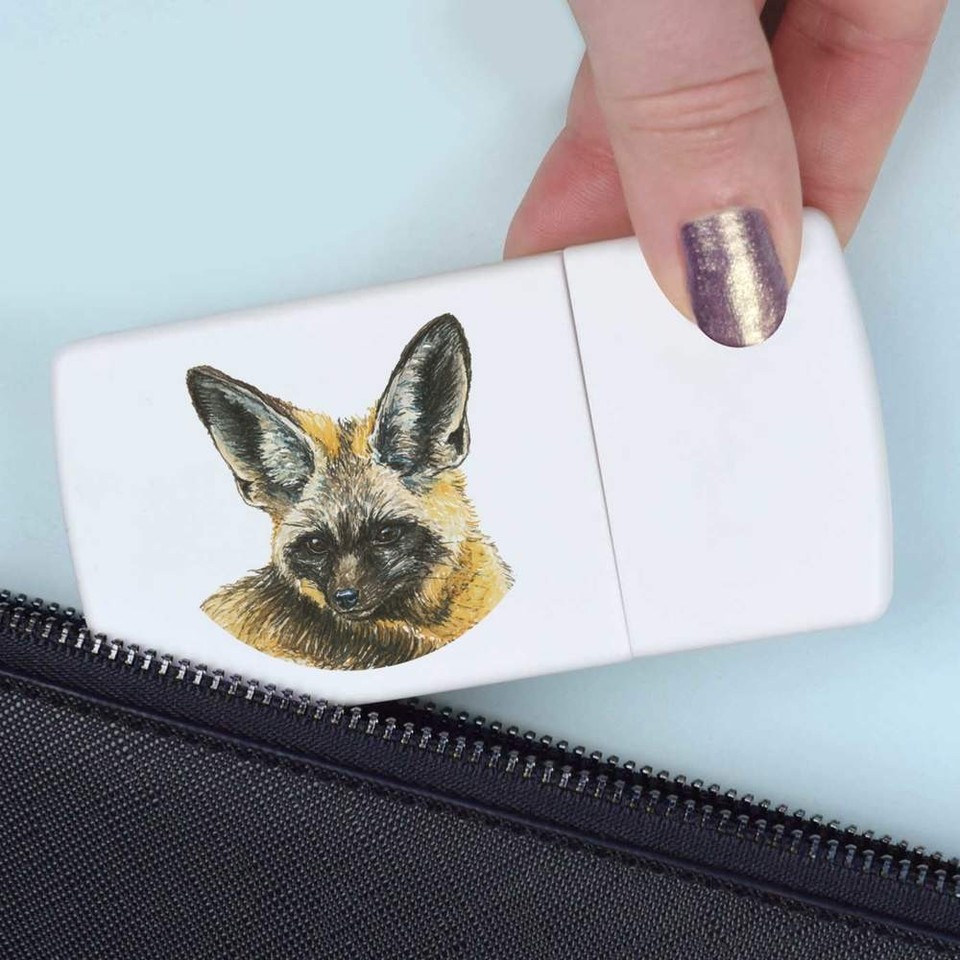'African Bat-Eared Fox' Pill Box with Tablet Splitter (PI00038466) | eBay