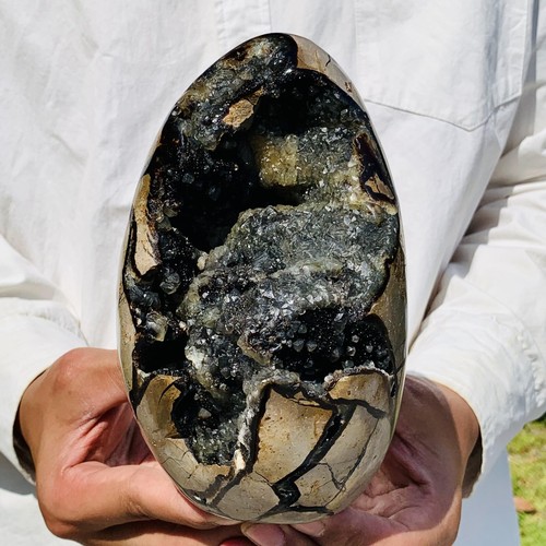 4.4LB Natural Turtle Back Stone Dragon Crystal Cave Crack Gem Healing ...