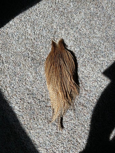 Whiting Farms Ginger/Cree Cape. New and Unused | eBay