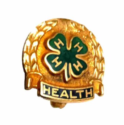 Vintage 10K Gold Filled 4H Health Pin Eli Lilly Z5 | eBay