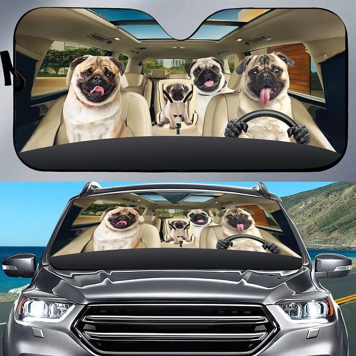 Dogs In Cars Pugs