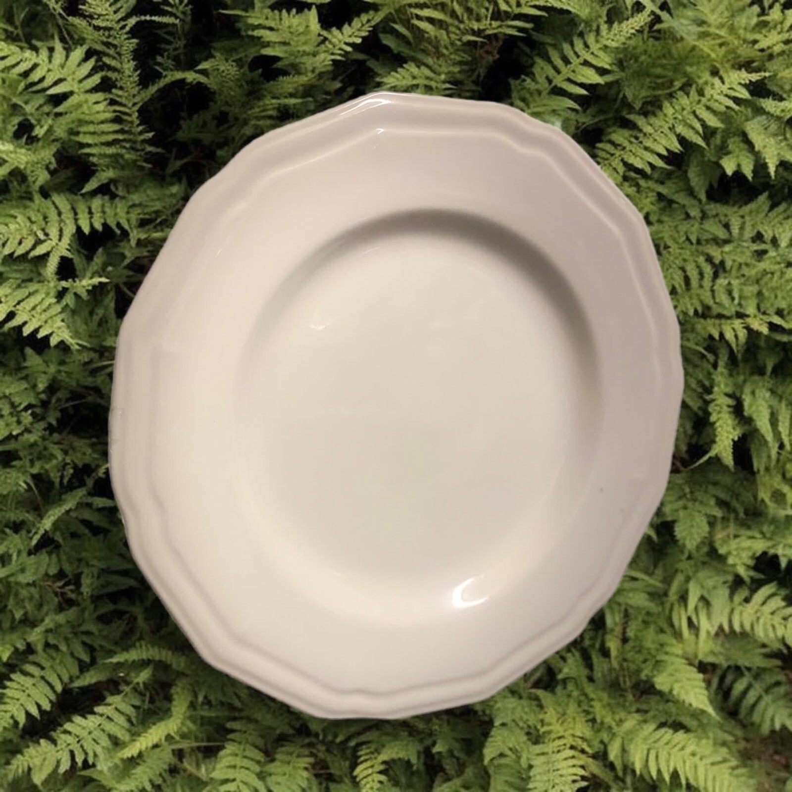 Gibson Designs PLEASANT HILL 6-Salad Plates Scalloped White Dessert ...