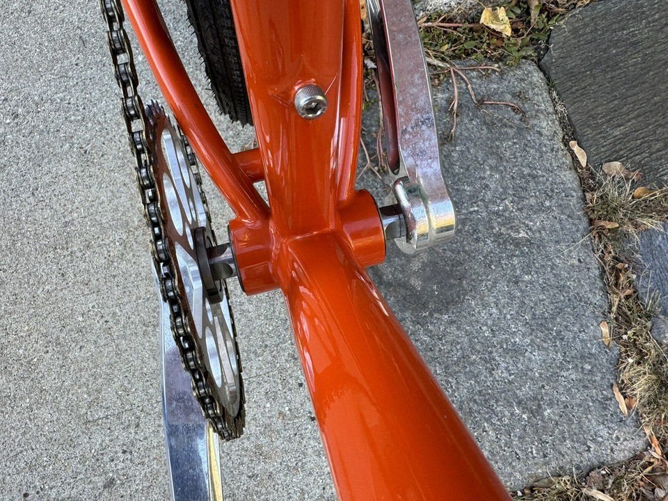 Wily 19” Steel Custom 29” MTB Cruiser Rohloff White Bros Paul Phil Wood ...