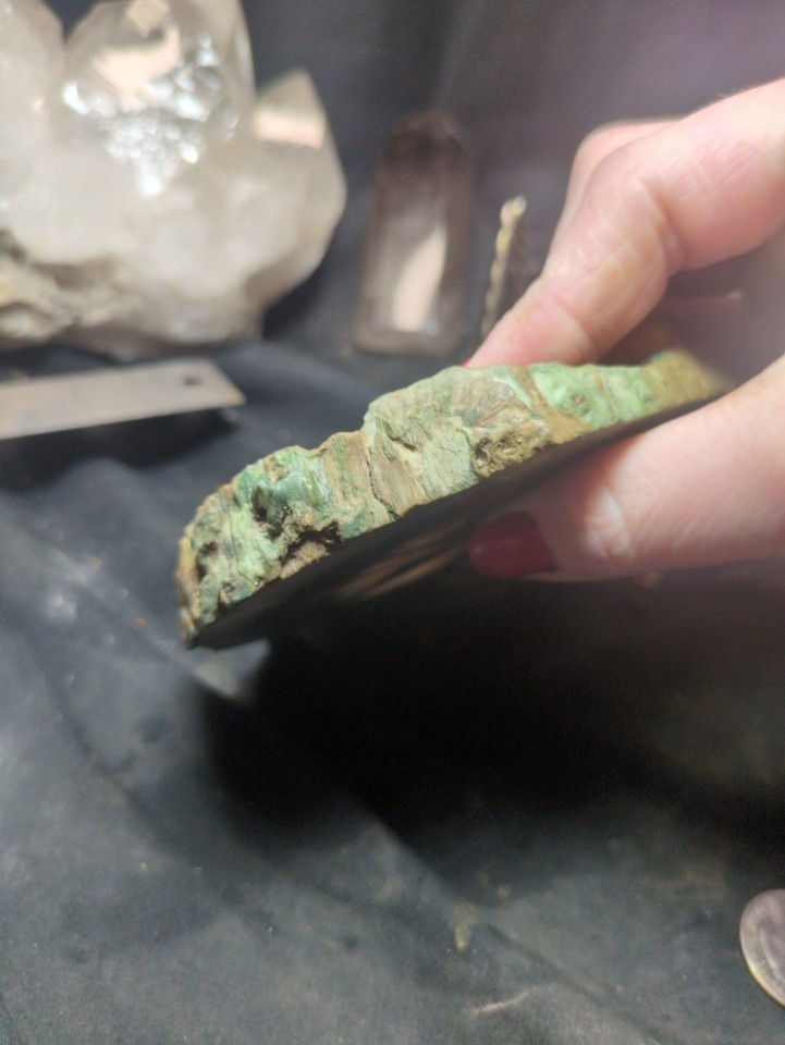Zimbabwe Petrified Wood w/ Crystallization Slab Unpolished End Cut (10. ...