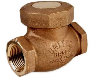 1" SPRING LOADED INDUSTRIAL CHECK VALVE W/ PTFE DISC 50T MADE IN USA | eBay