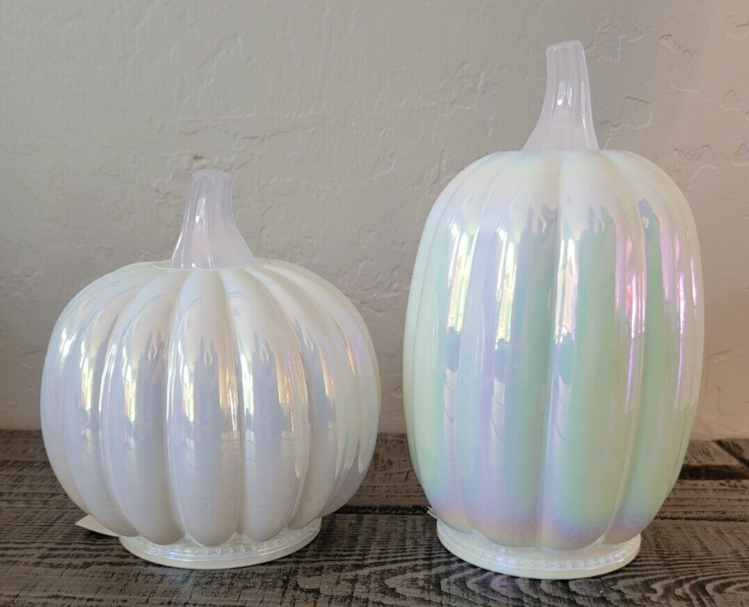 What Are White Pumpkins Huge Pumpkin Harvest