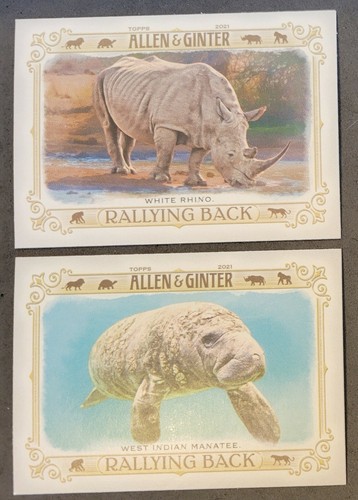 2lot Rallying Back 2021 Topps Allen & Ginter West Indian Manatee ...