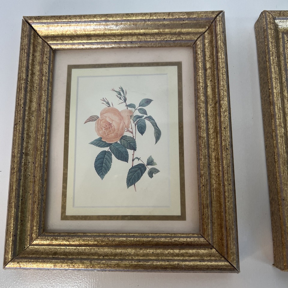 Set 2 Vintage Rose Print Pictures Gold Tone Frames 4x6 | eBay