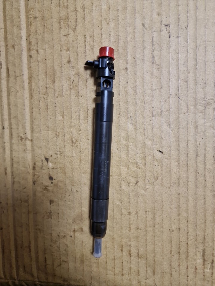 TESTED INJECTOR FORD CITROEN PEUGEOT 2.0D DELPHI EMBR00101D 9686191080 ...