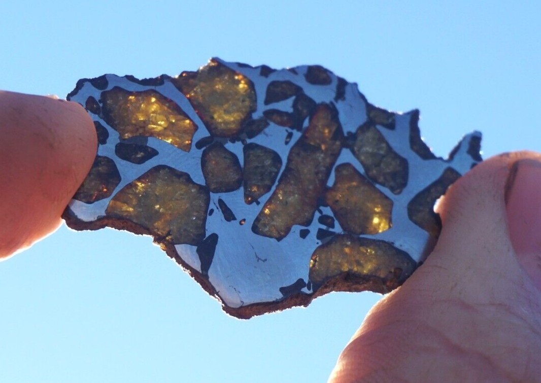 SUPERB 9.5g IMILAC PALLASITE METEORITE FULL SLICE w/ OLIVINE CRYSTALS ...