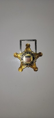 USSS United States Secret Service Gold Star lapel pin police red | eBay
