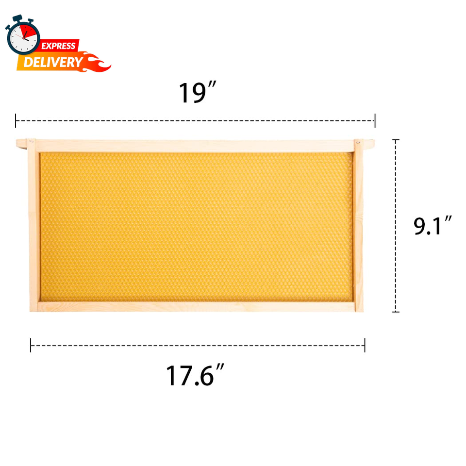 Deep Brood Beehive Frames with Wax Foundation,10 Pack Honey Bee Frames ...