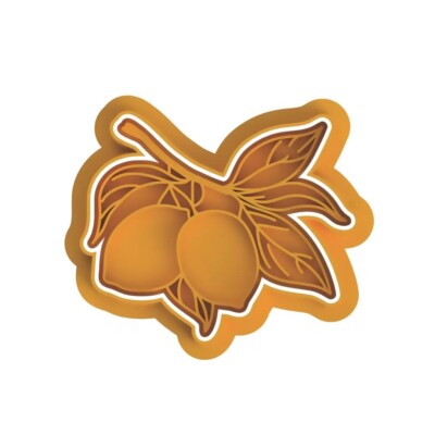 Lemon Tree Branch Cookie Cutter And Embosser | Ebay Australia