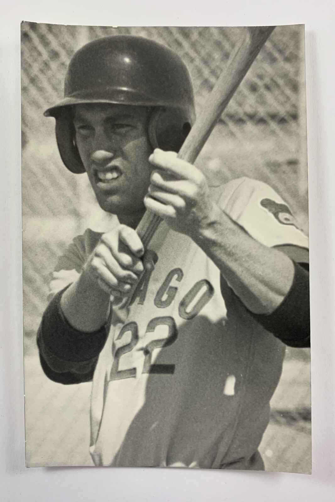 Kurt Siebert (1979) Chicago Cubs Vintage Baseball Postcard PCCC | eBay