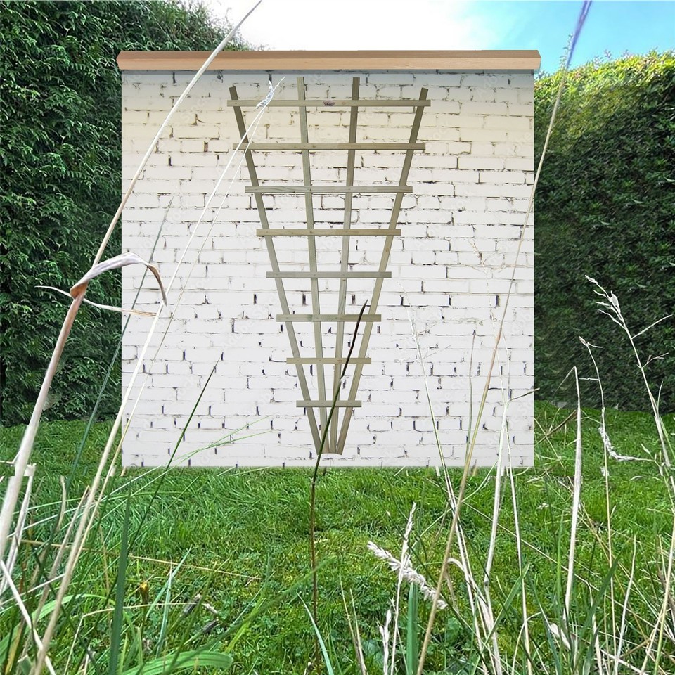 Premier Fan Trellis Flat or Arched 6ftx3ft Lattice Climbing Plant ...