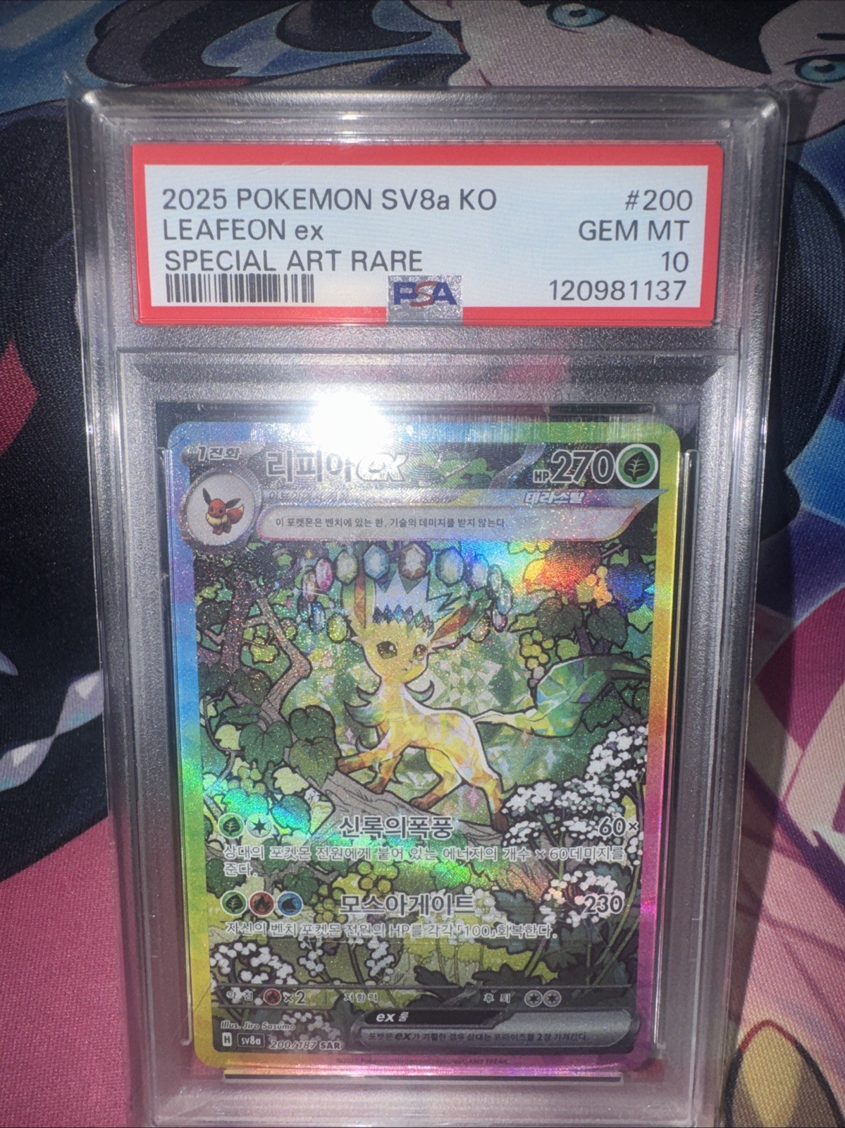 Leafeon EX SAR 200/187 SV8a Terastal Festival Korean Edition | eBay