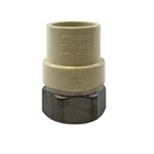 1/2" CPVC X 1/2" Female IP Stainless Steel Adapter 35403SS (Pack of 10 ...