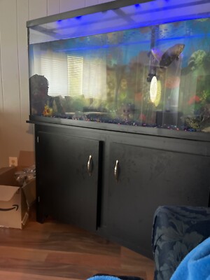 fish tank | eBay