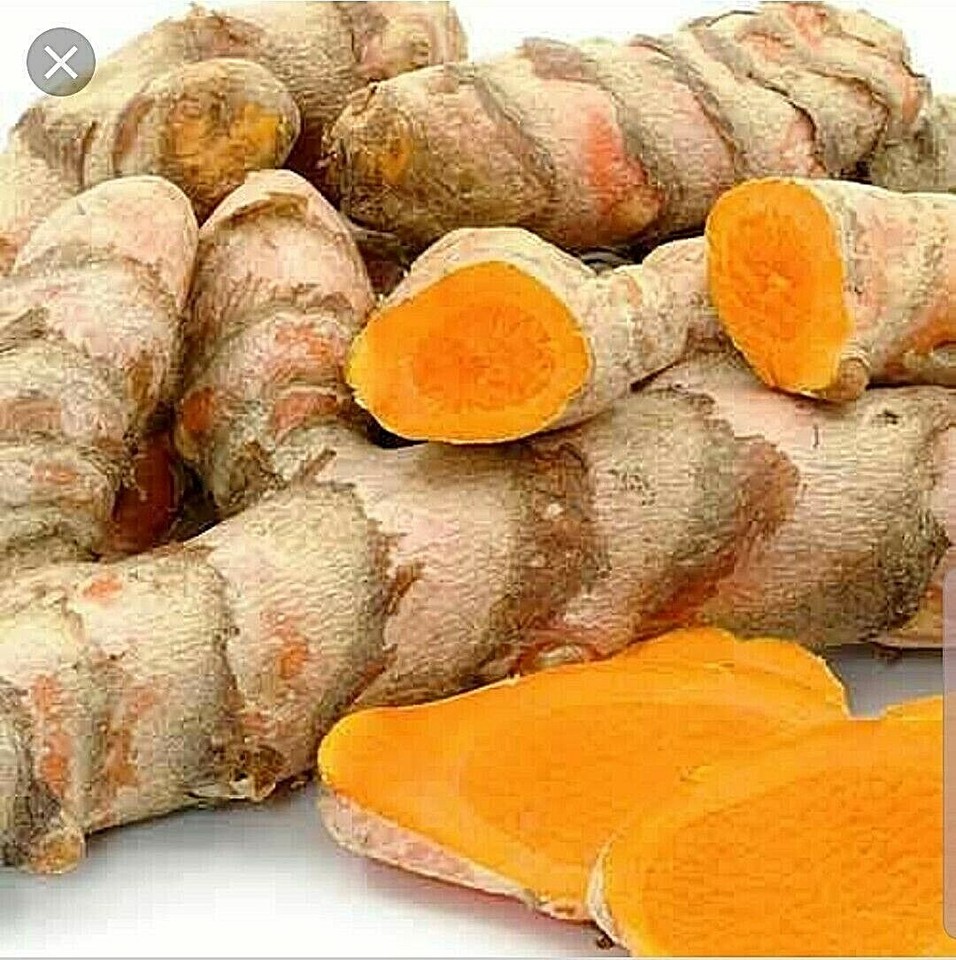 Organic Turmeric Roots Curcuma Longa for Tea, Spices, Seasoning ...