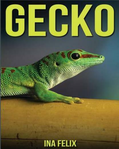 Gecko: Children Book of Fun Facts and Amazing Photos on Animals in ...