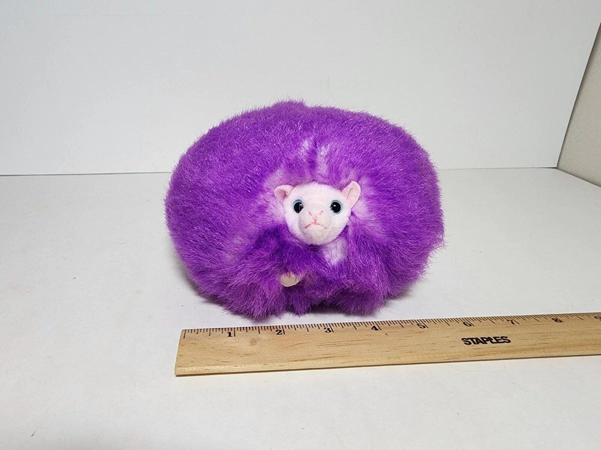 Purple Pygmy Puff