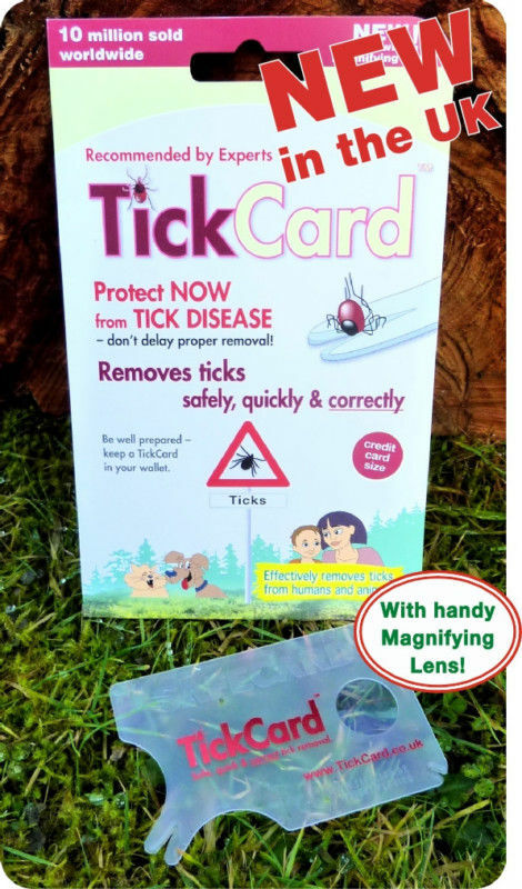Tick Removal Tool TickCard - Tick Remover Card Safecard - not twister ...