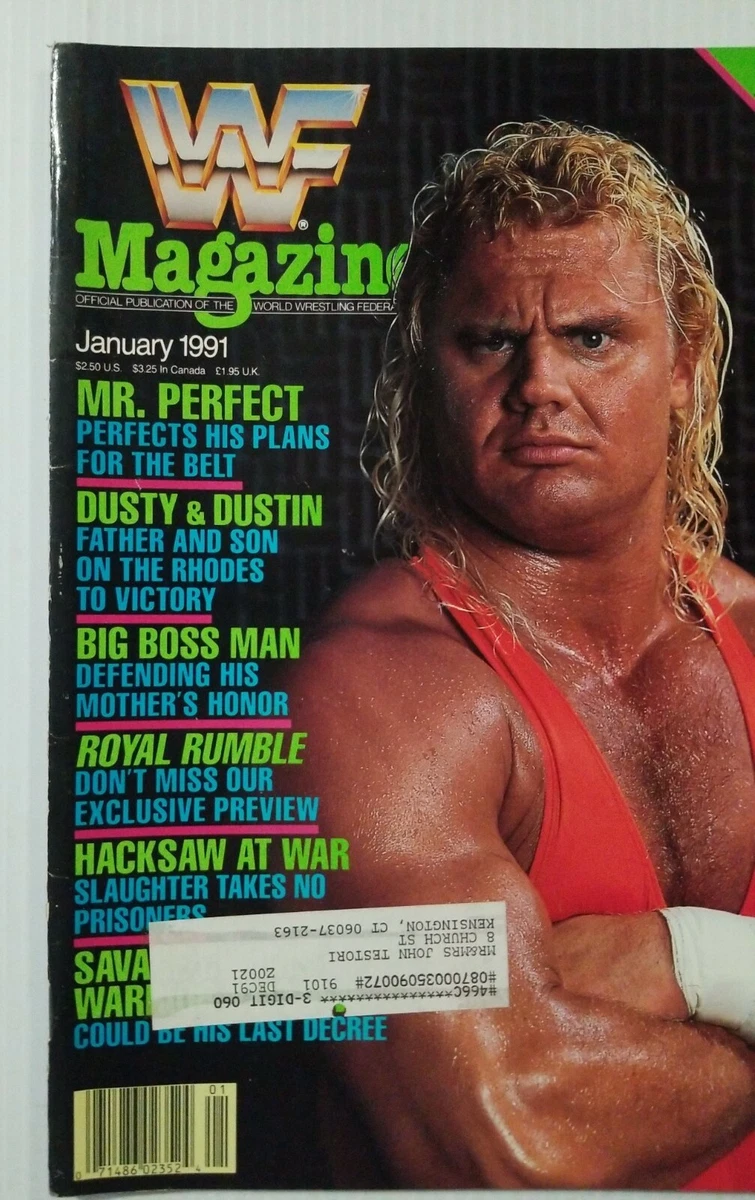 Mr Perfect And His Son