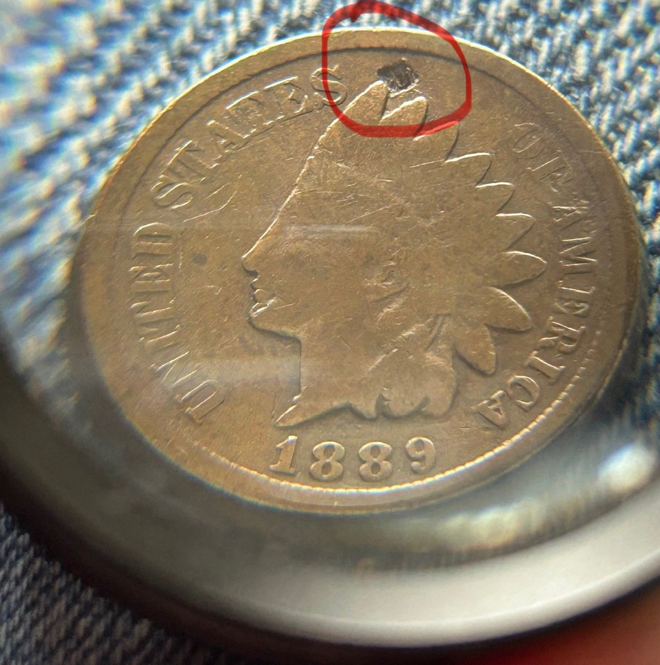1889 Indian Head Penny( A Collector's Dream Coin) | eBay