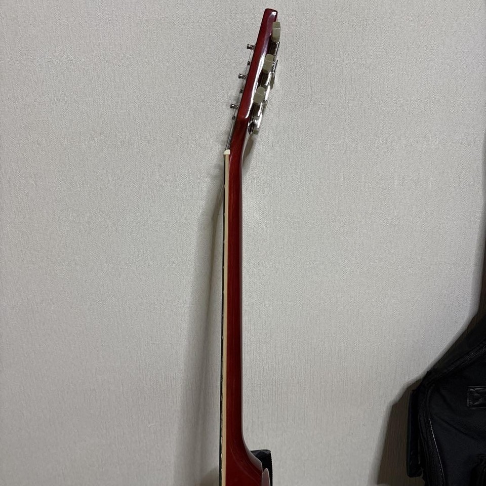 Maison Electric Guitar, Les Paul Type, With Soft Case | eBay