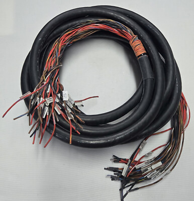 Canare MR202-32AT 32 Channel Audio Cable Snake 25ft | eBay