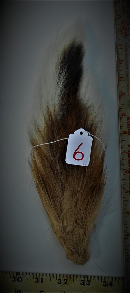 Colonel Beauxs Premium Select "JUMBO" Pennsylvania bucktail! | eBay
