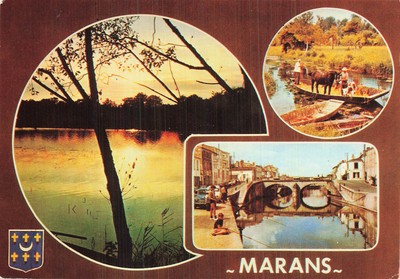 17 MARANS | eBay