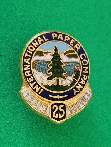 INTERNATIONAL PAPER COMPANY 25 YEARS SERVICE PIN | eBay