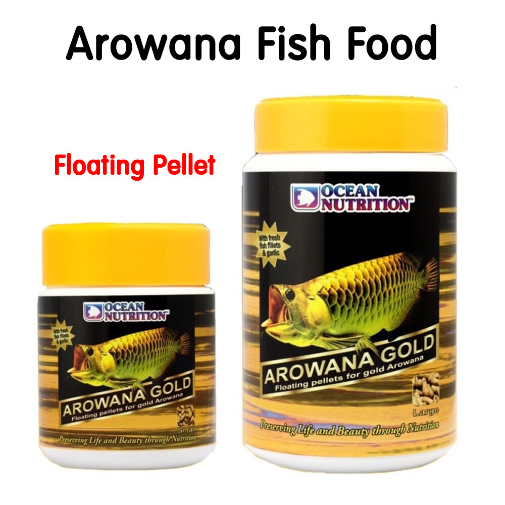 Arowana Fish Food