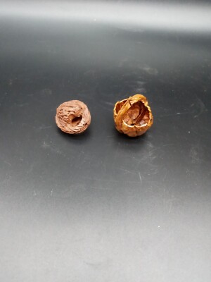 A Carved Walnut Shell Basket & A Carved Peach Pit/Stone Basket | eBay