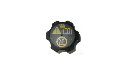 RADIATOR CAP BOTTLE SCREW DOWN TYPE SS SV8 GTS HSV VE VF HOLDEN V8 ...