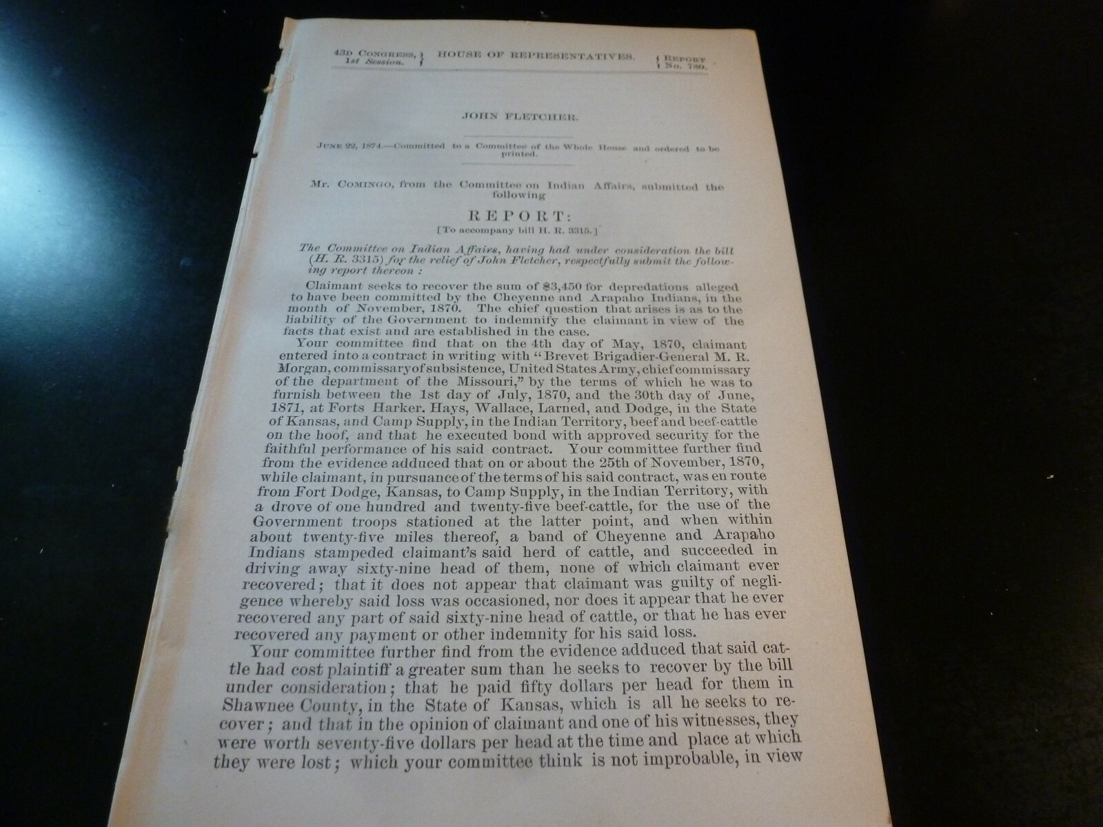Government Report 1874 John Fletcher Depredations Cheyenne & Arapaho ...